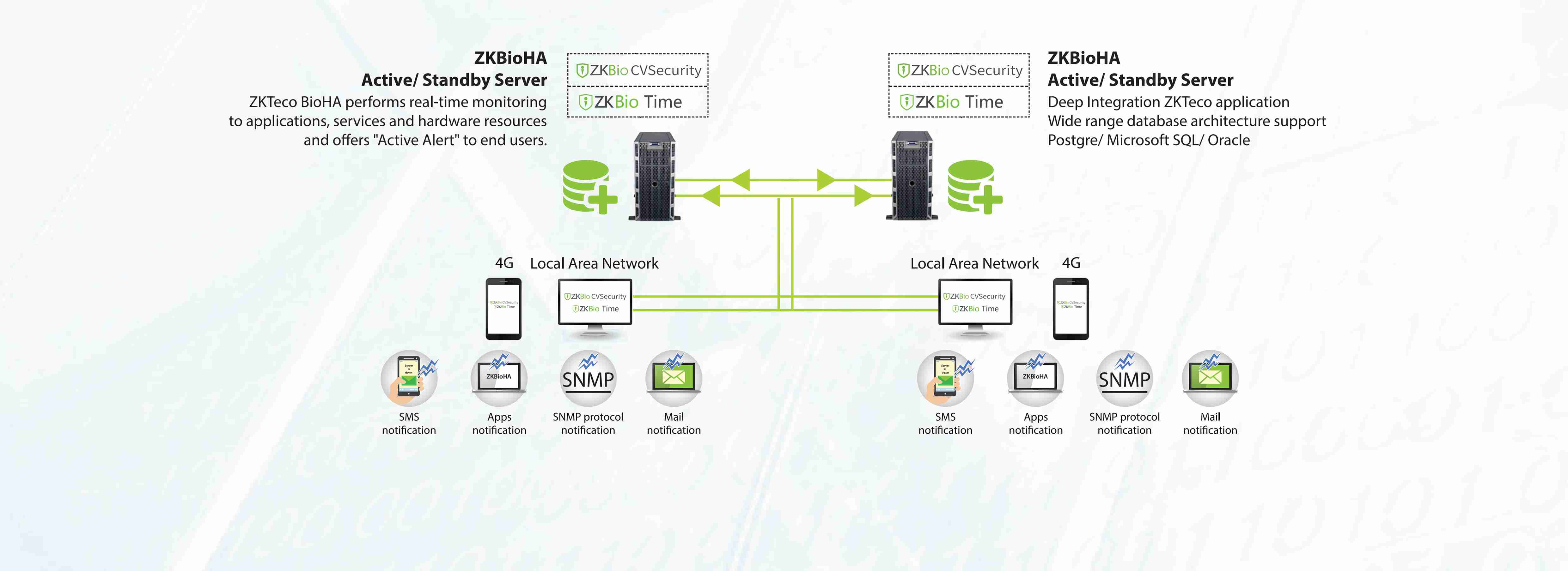 All-In-One Security Solution For Mansion